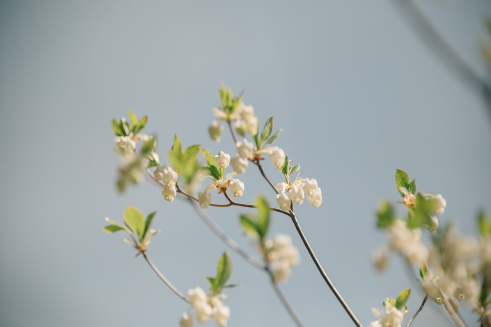 tico moon live concert 2023 | ホームパーティ │ 熊本でこだわりの新築を。