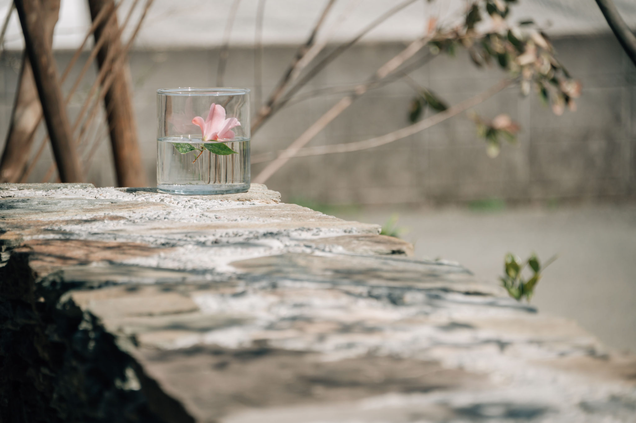 tico moon live concert 2023 | ホームパーティ │ 熊本でこだわりの新築を。